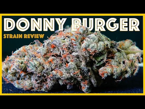 Donny Burger - Strain Review - Everybody High