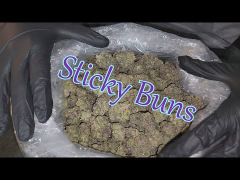 Strain Review: Sticky Buns - Everybody High